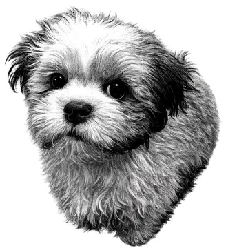 JUJU-PERFECT | AI Laser-Ready Image & Product File Generator